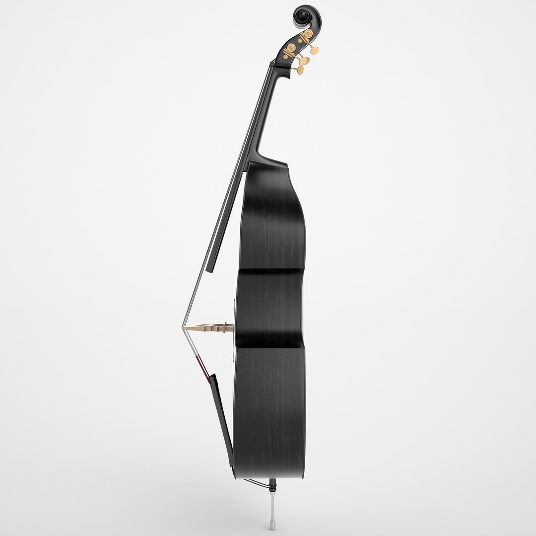 3d Double Bass Black