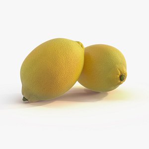 Lemon Blender Models for Download | TurboSquid