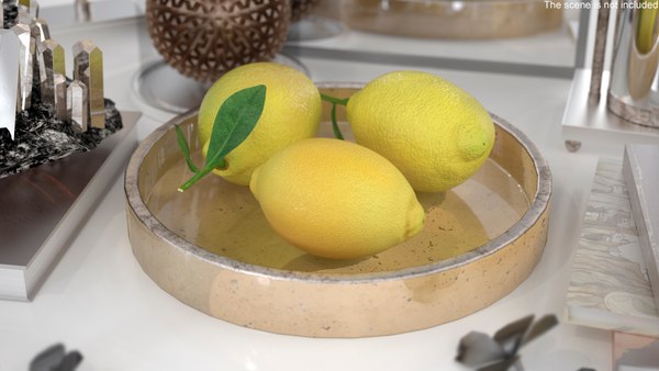modelo 3d Limón Realista - TurboSquid 2238851