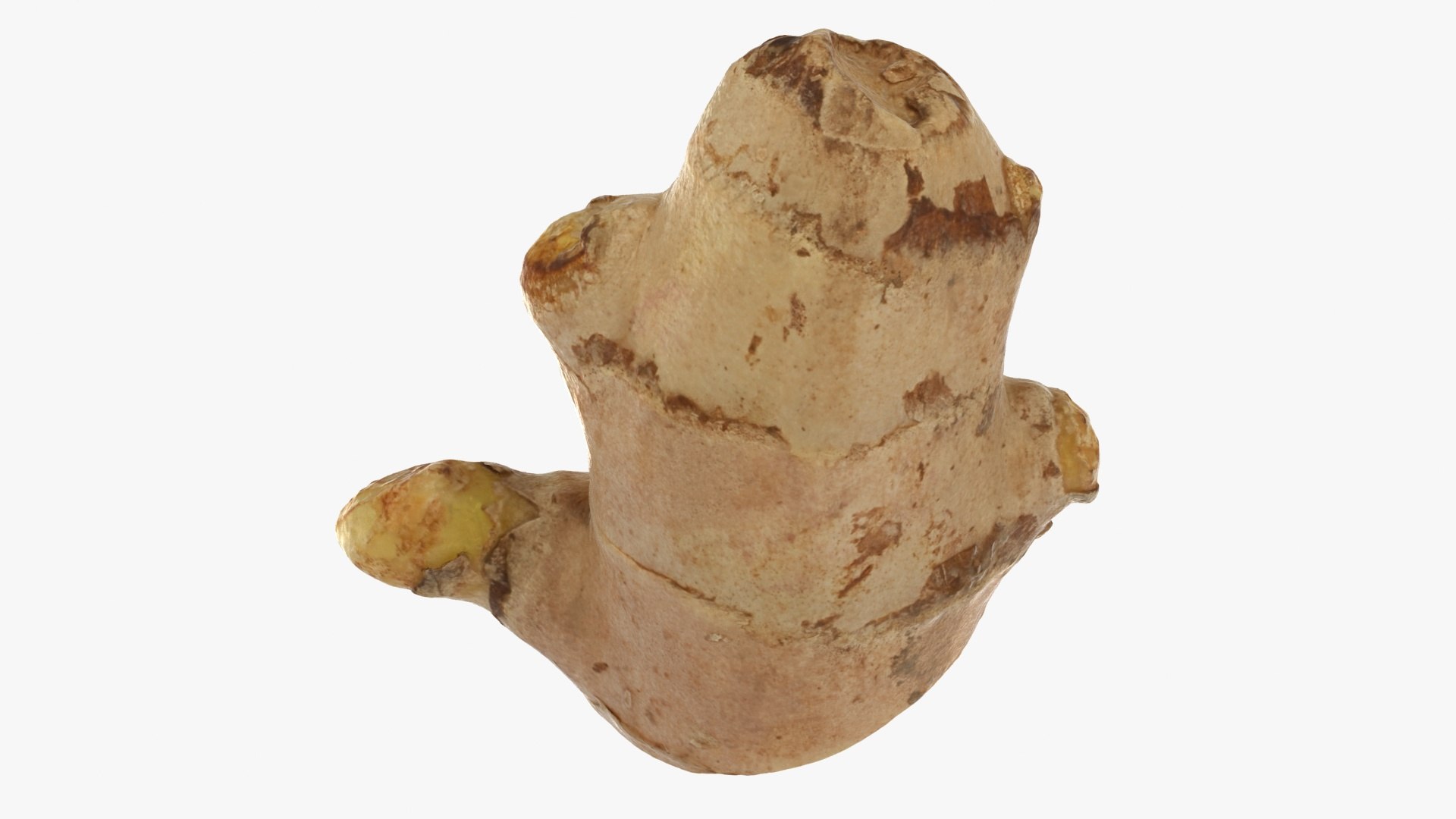 Cut Ginger 3D Model - TurboSquid 1706653