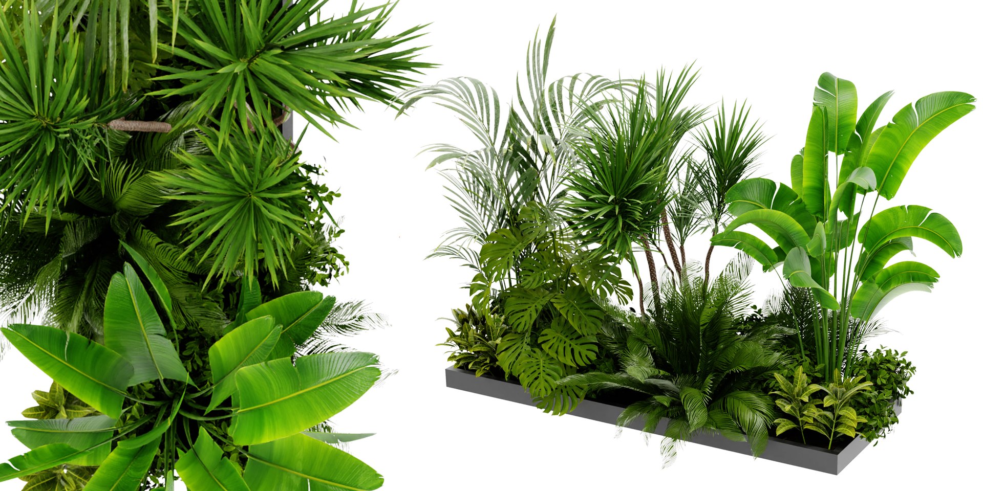 Collection Plant Vol 436 - Blender Model Model - TurboSquid 2097143