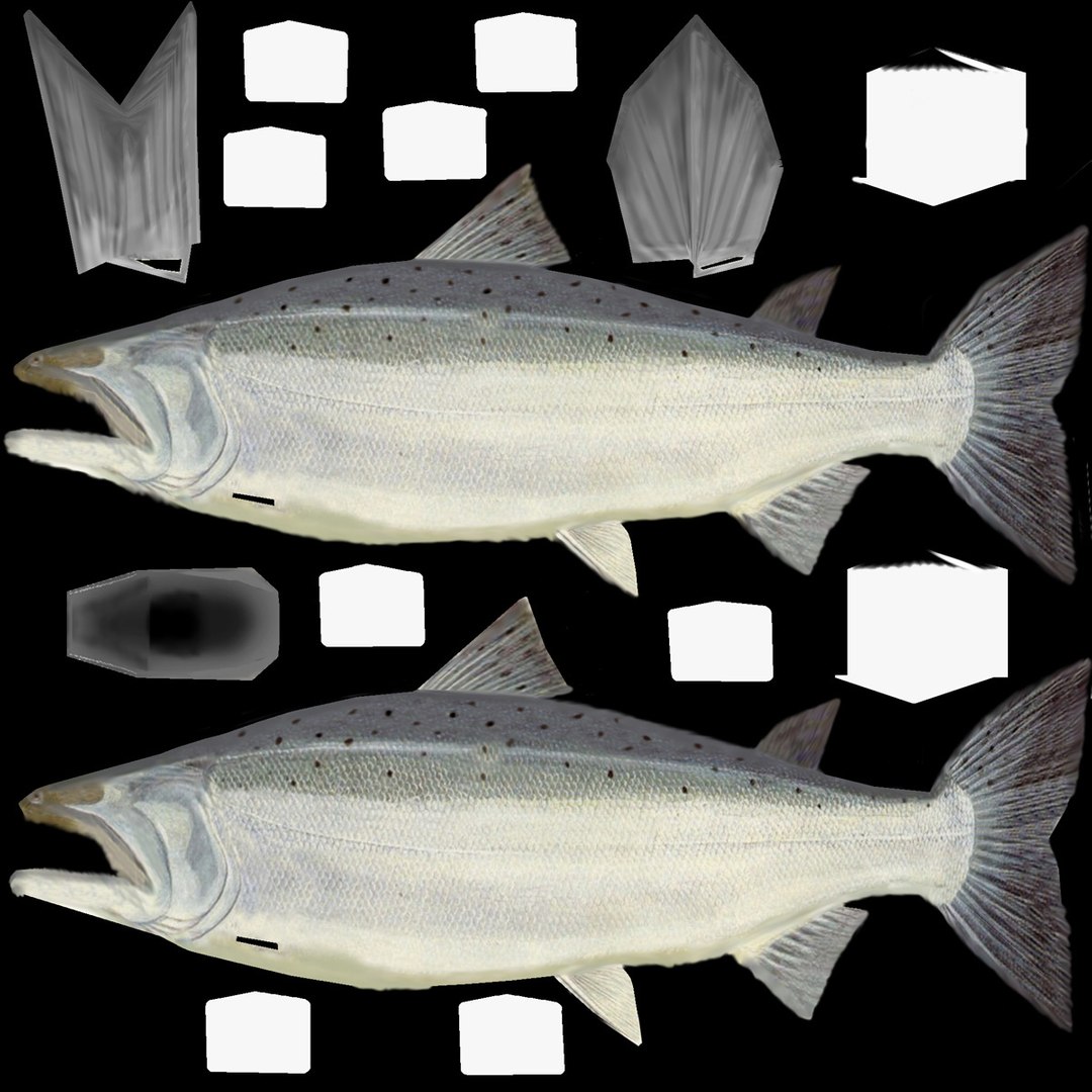 3d Obj Coho Salmon