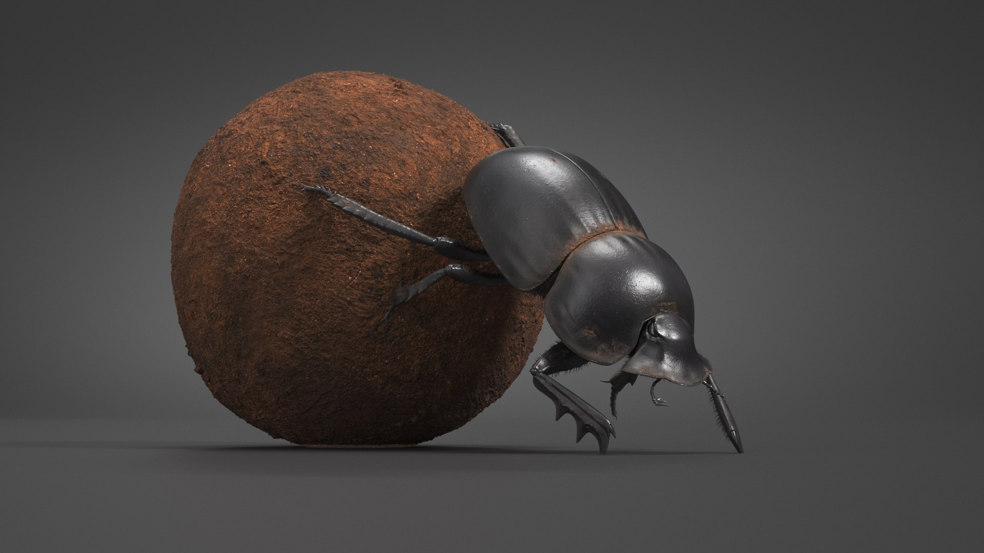 3D Roller Beetle Pushing Sphere Dirt Fur - TurboSquid 2293991
