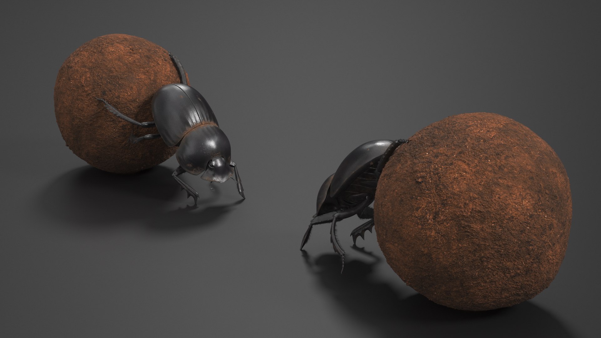 3D Roller Beetle Pushing Sphere Dirt Fur - TurboSquid 2293991