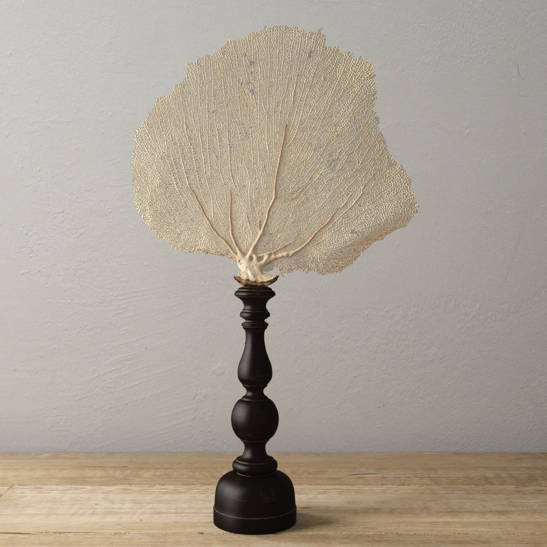 Harvested Sea Fan Natural Max