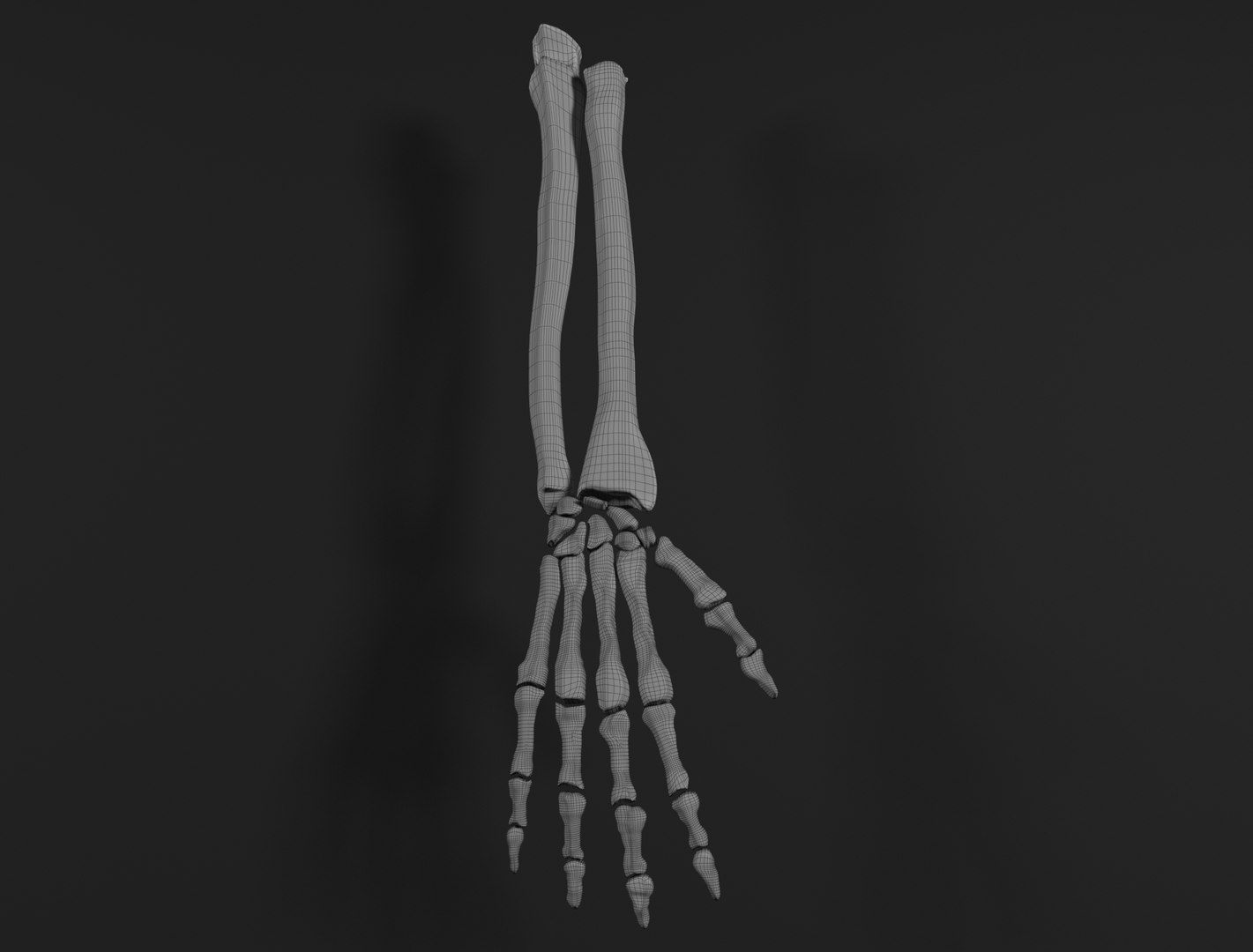 Hand Bones 3D Model - TurboSquid 1461439