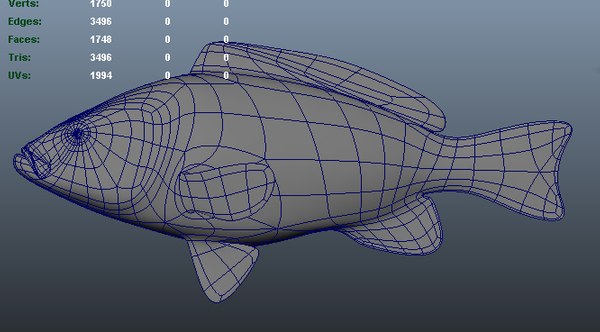 3d model saltwater fish