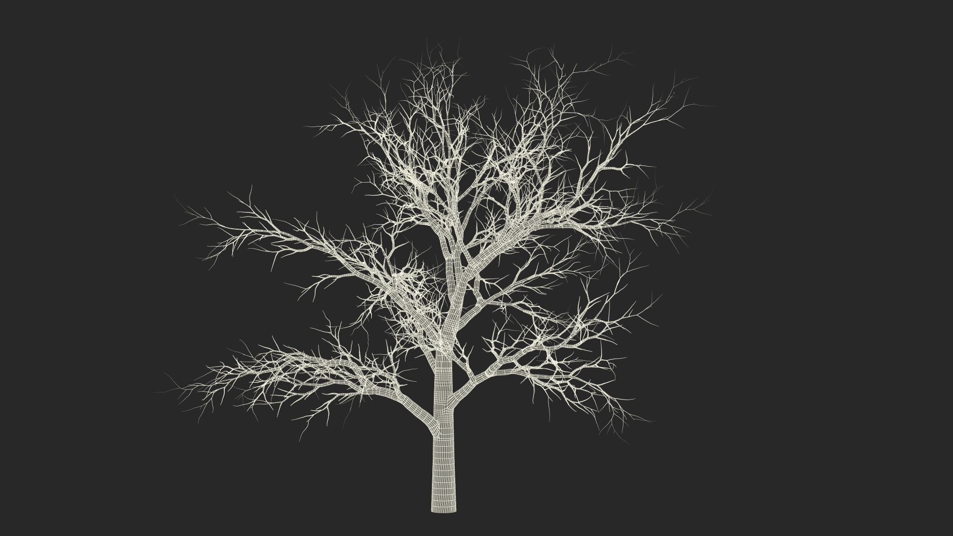 Swamp White Oak Winter 3D Model - TurboSquid 2185714