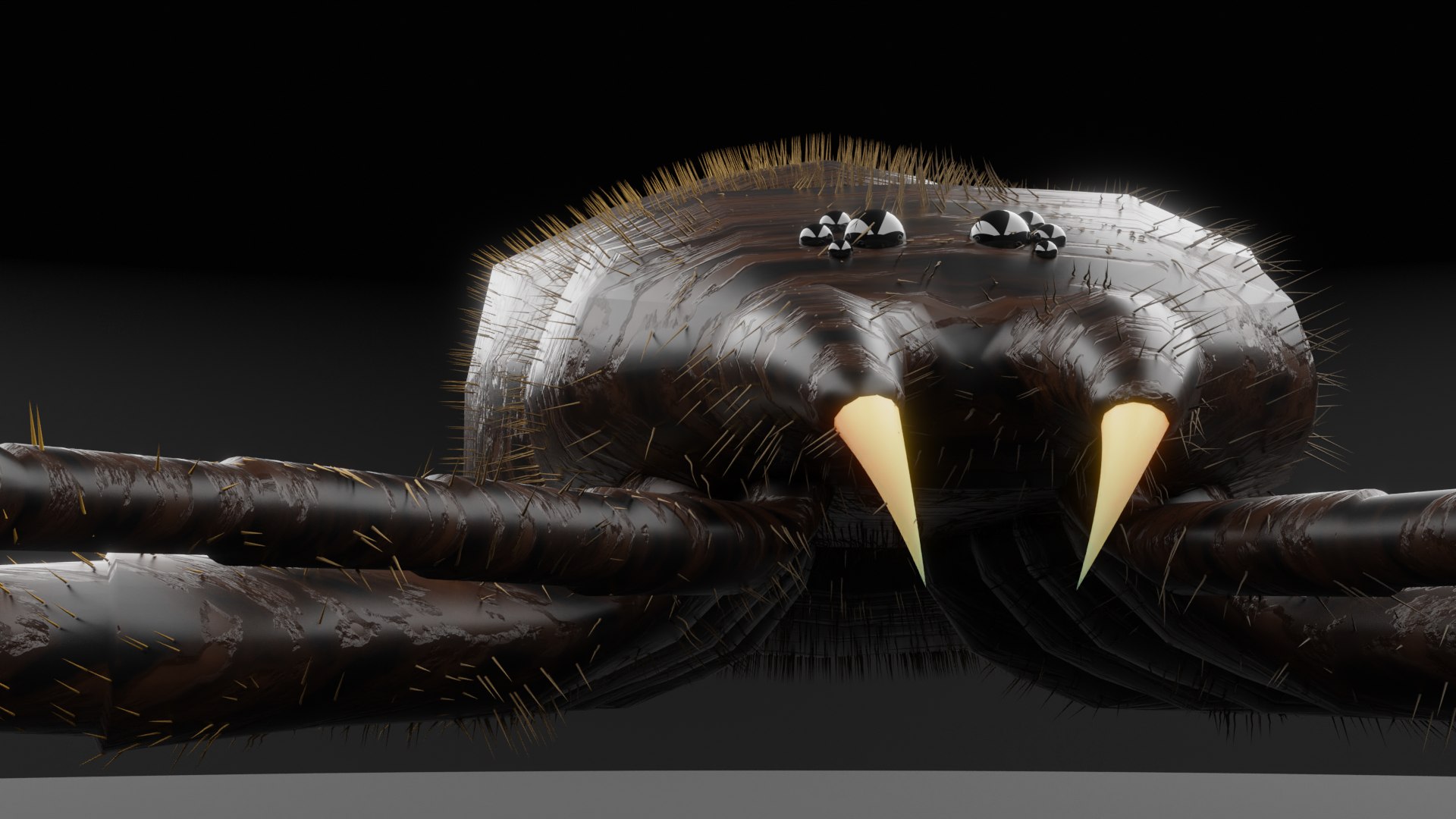 SIMPLE SPIDER 3D Model - TurboSquid 1715117