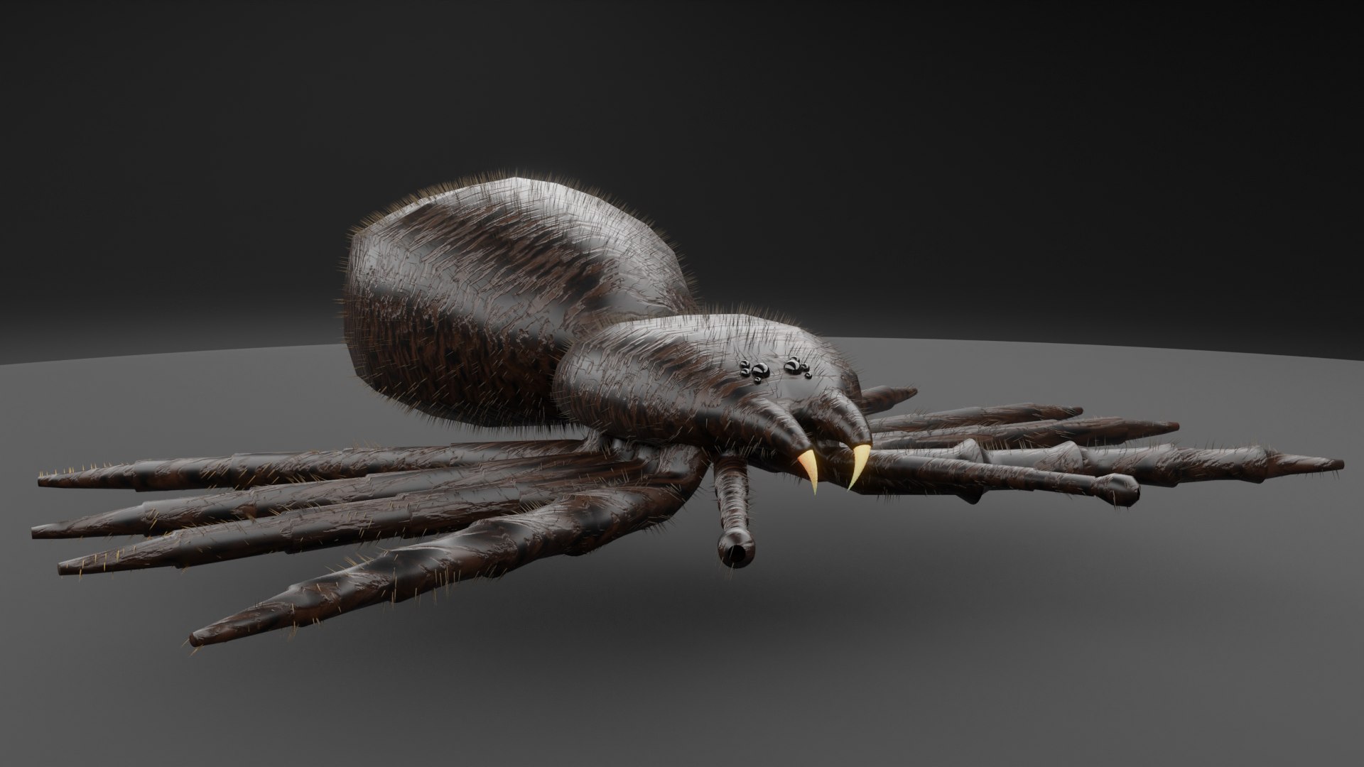 SIMPLE SPIDER 3D Model - TurboSquid 1715117