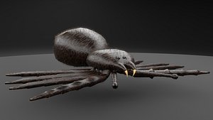 Free 3D Spider Models | TurboSquid