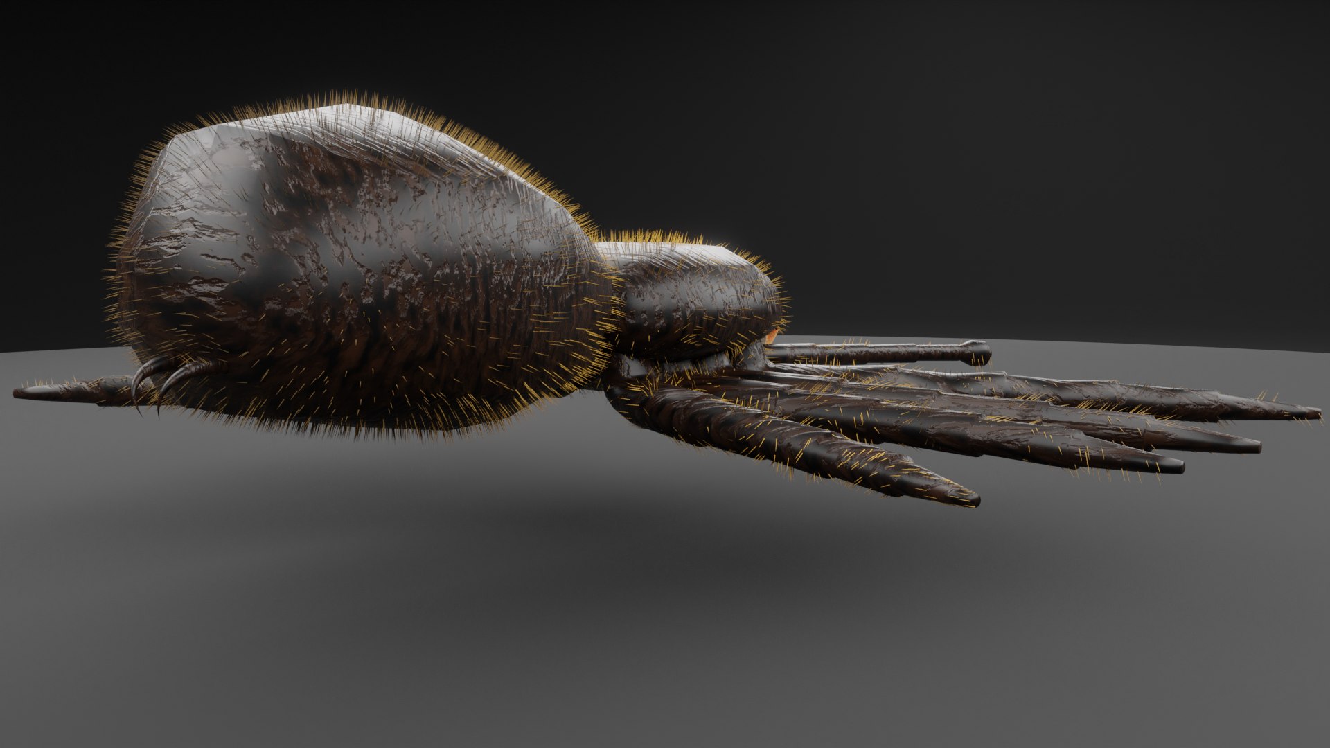 SIMPLE SPIDER 3D Model - TurboSquid 1715117