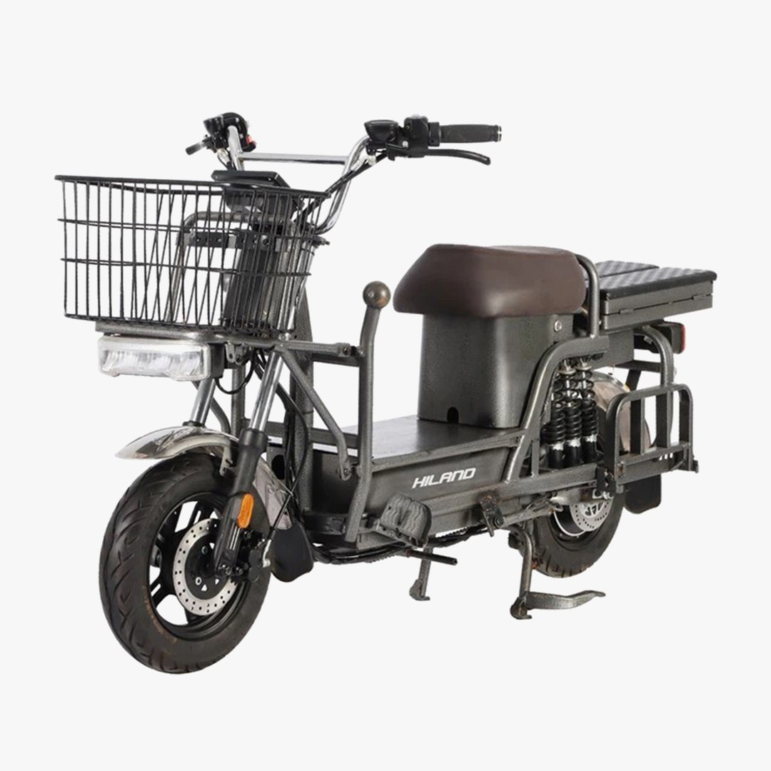 3D EOX E-Horse Low Speed 3 Wheeler Electric Loader Scooter Non RTO ...