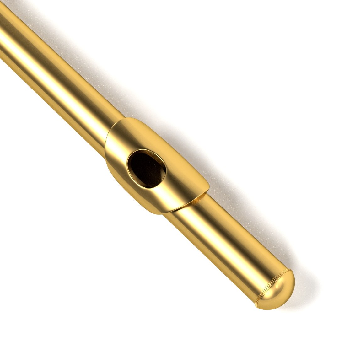 3d flutes bended model