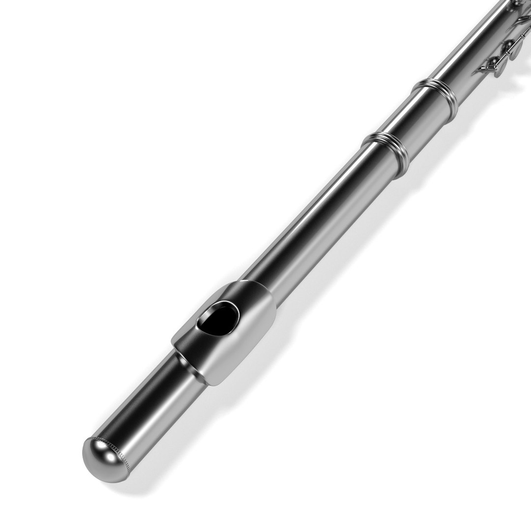 3d flutes bended model