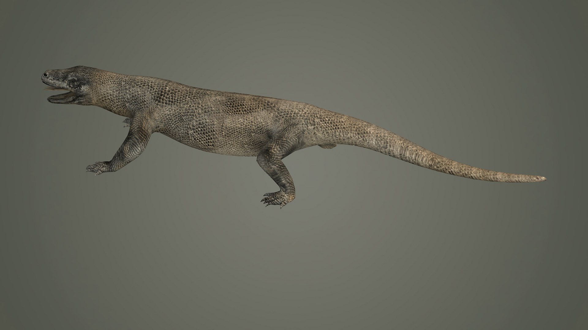 3D Reptile Lizard Nature Dinosaur Animal Wildlife Animals - TurboSquid ...