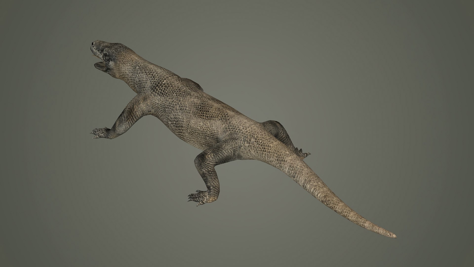 3D Reptile Lizard Nature Dinosaur Animal Wildlife Animals - TurboSquid ...