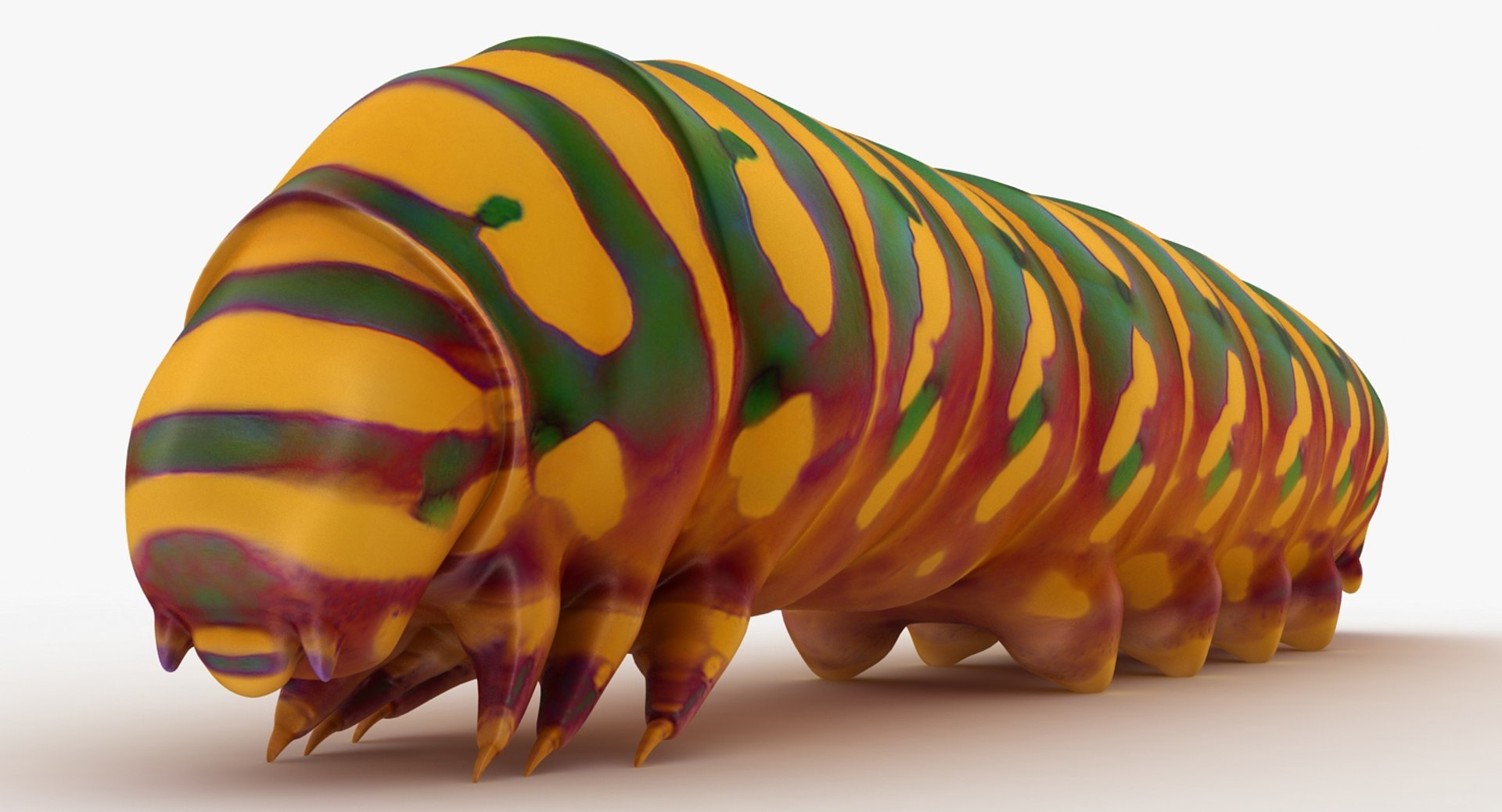 Realistic Caterpillars 03 3D - TurboSquid 1173693