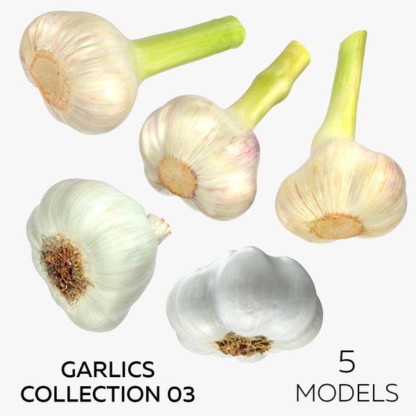 3D Garlic Models | TurboSquid