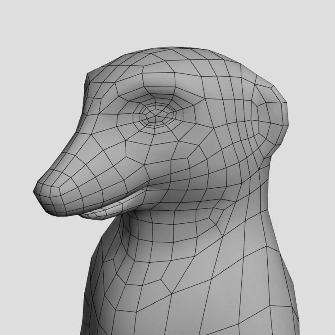 Meerkat 3d Model