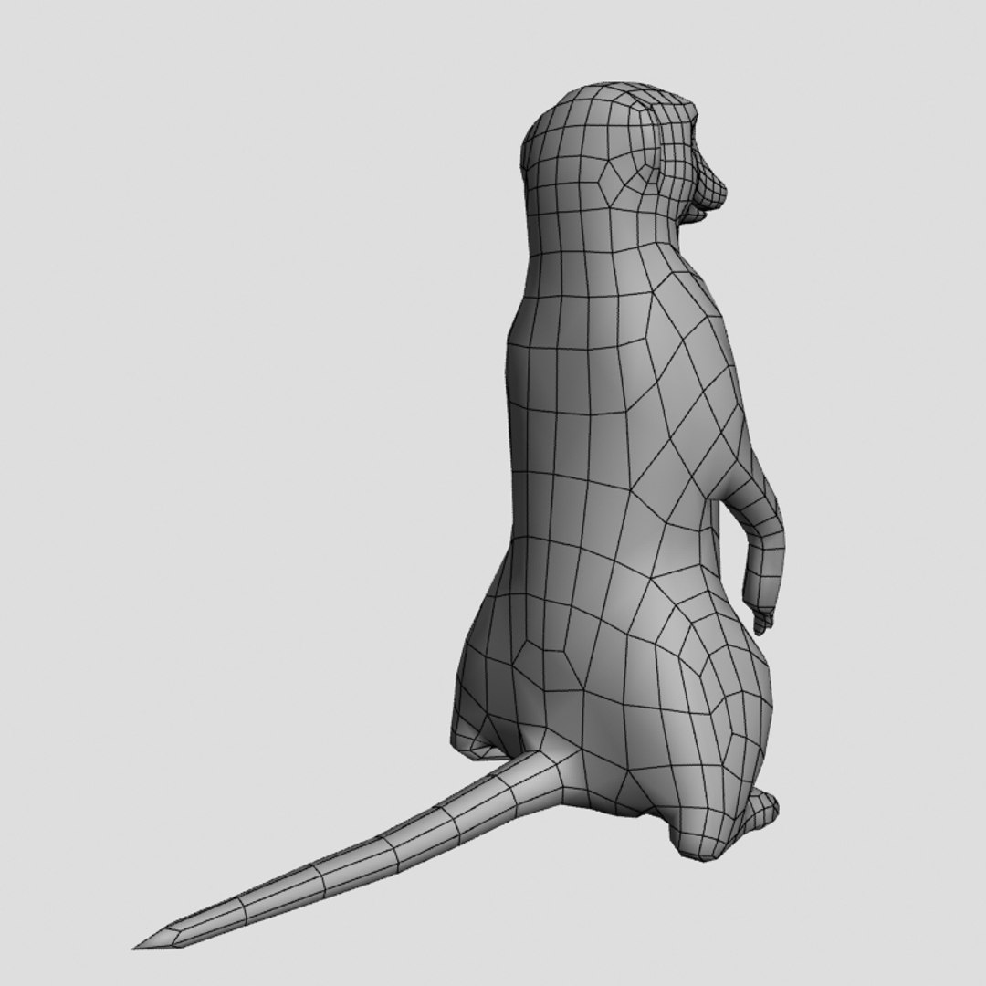 Meerkat 3d Model