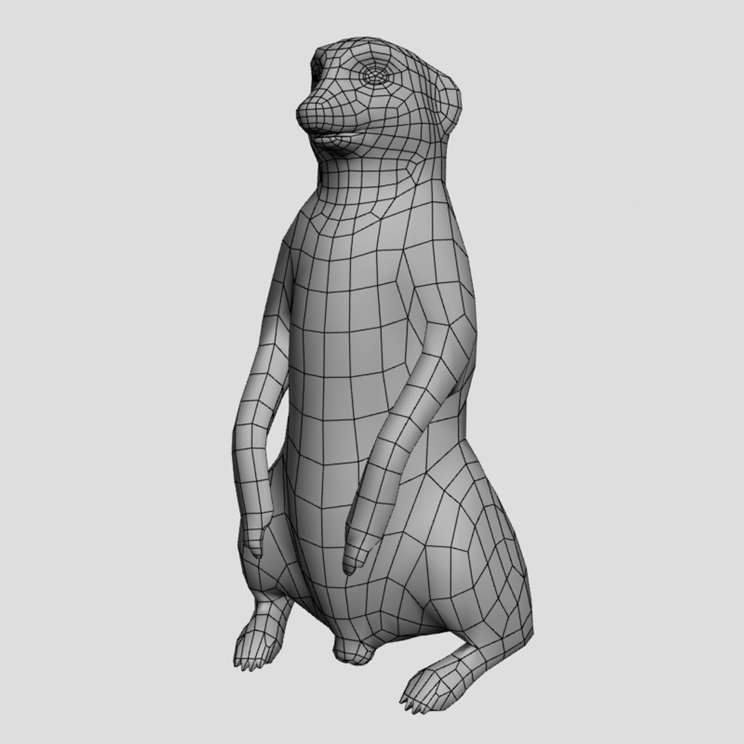 Meerkat 3d Model
