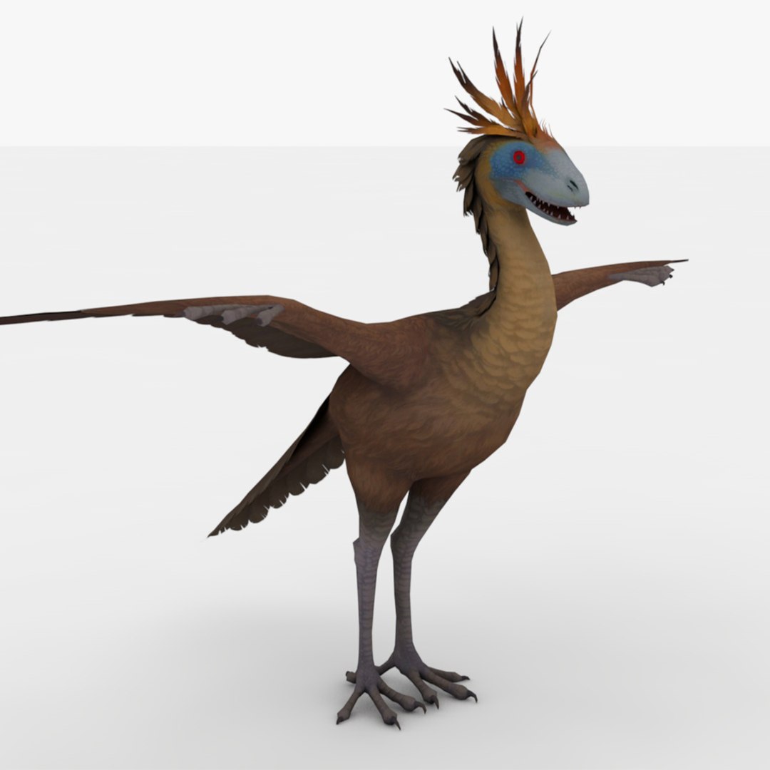 3D Model Archaeopteryx - TurboSquid 2342390