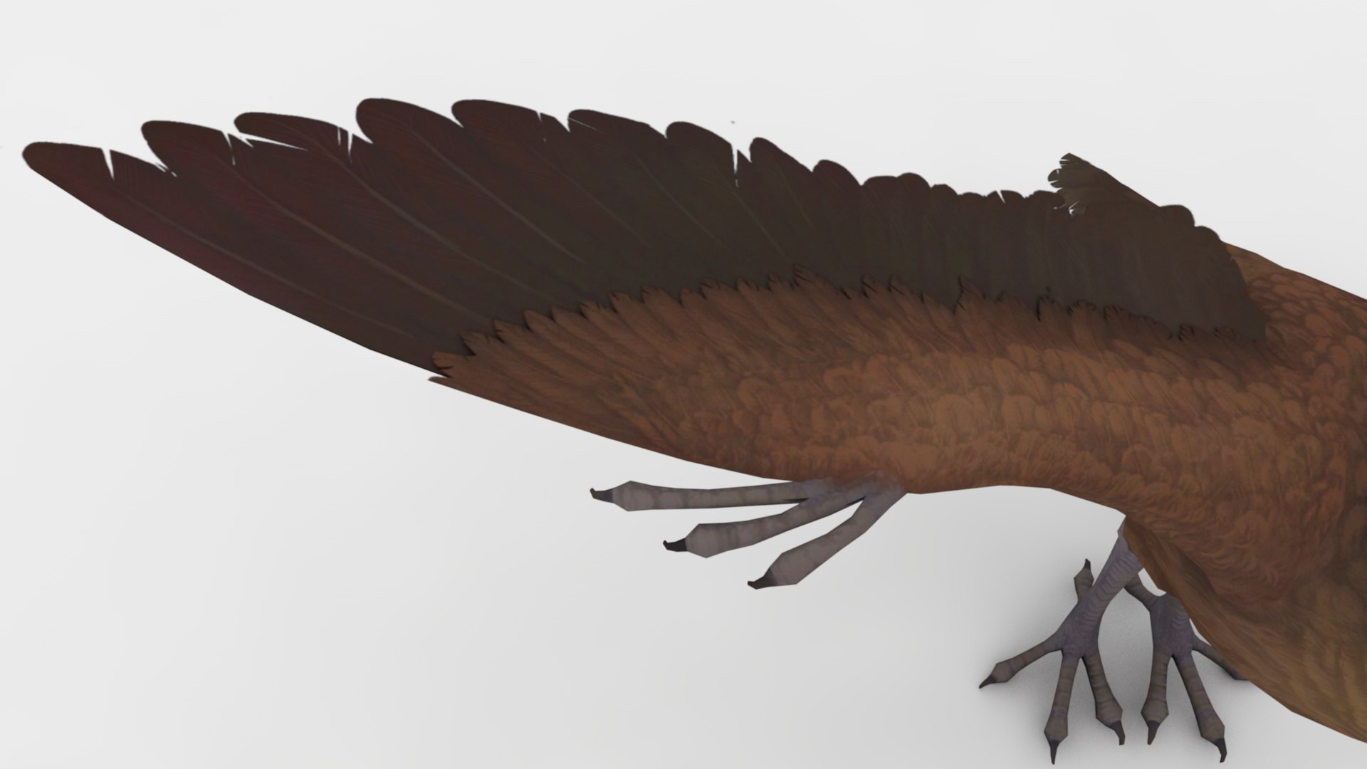 3D Model Archaeopteryx - TurboSquid 2342390
