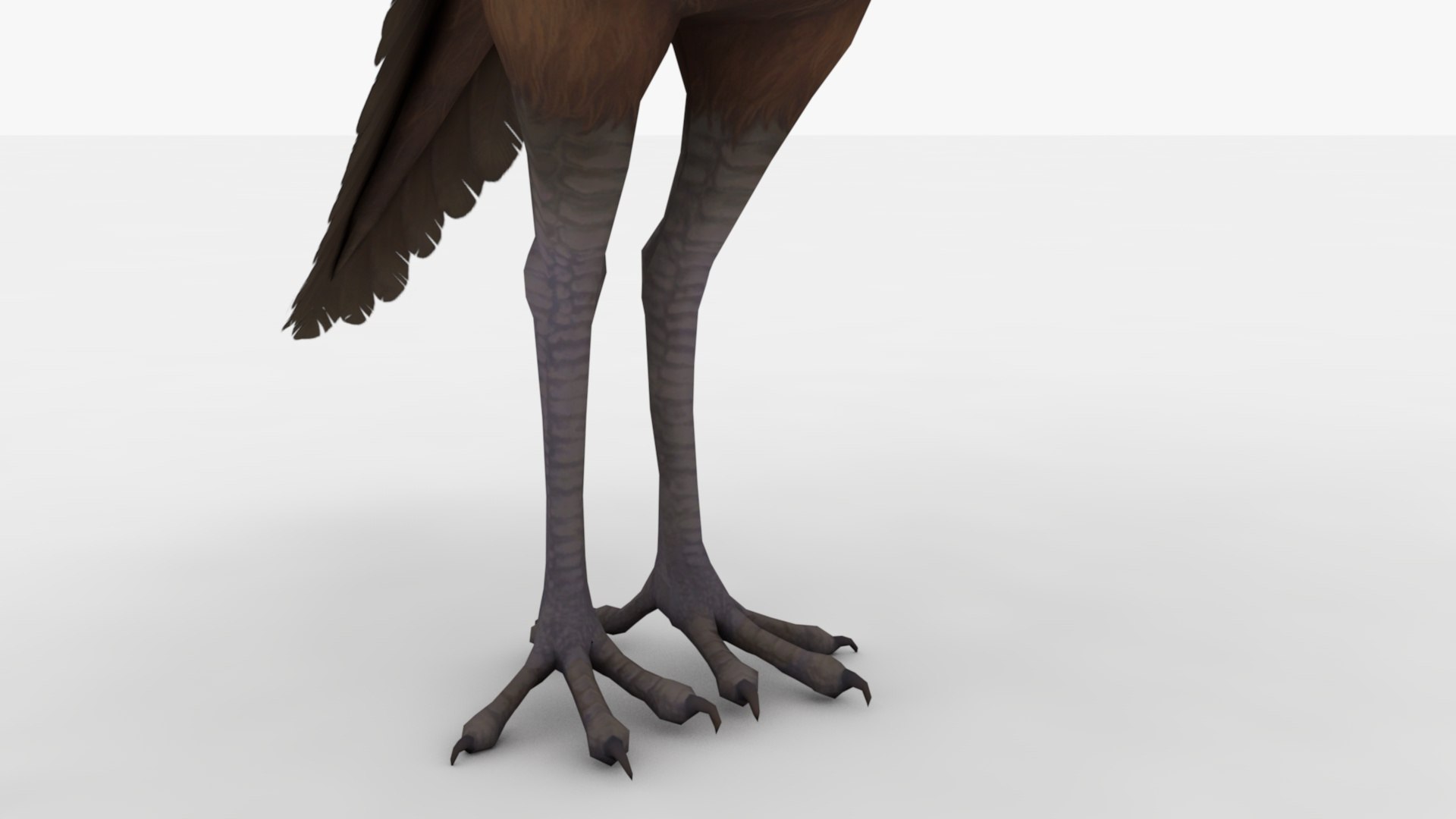 3D Model Archaeopteryx - TurboSquid 2342390