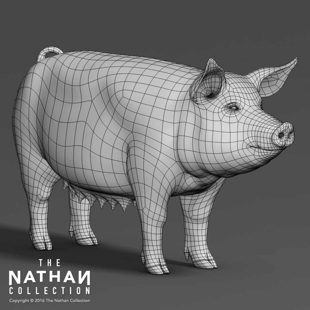 3d model pig adult female fur