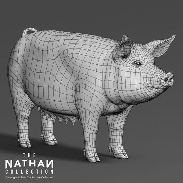 3d model pig adult female fur