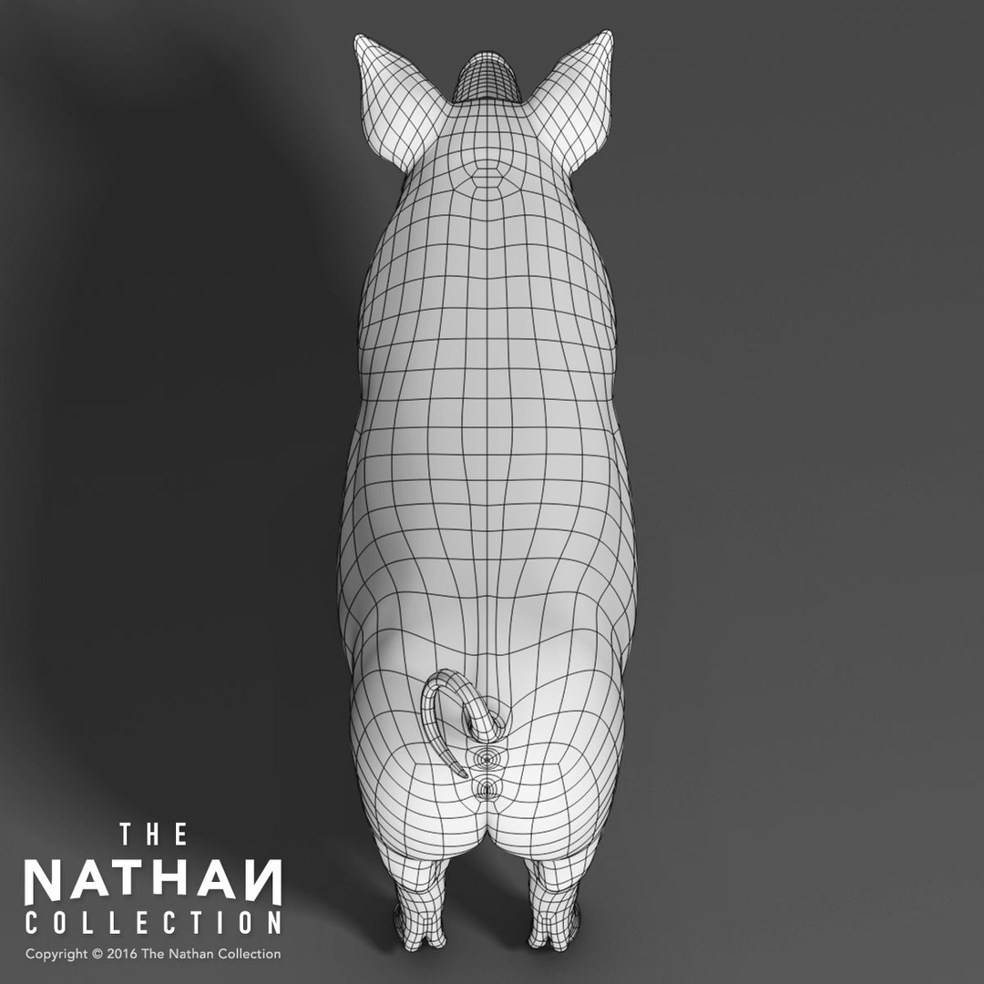 3d Model Pig Adult Female Fur