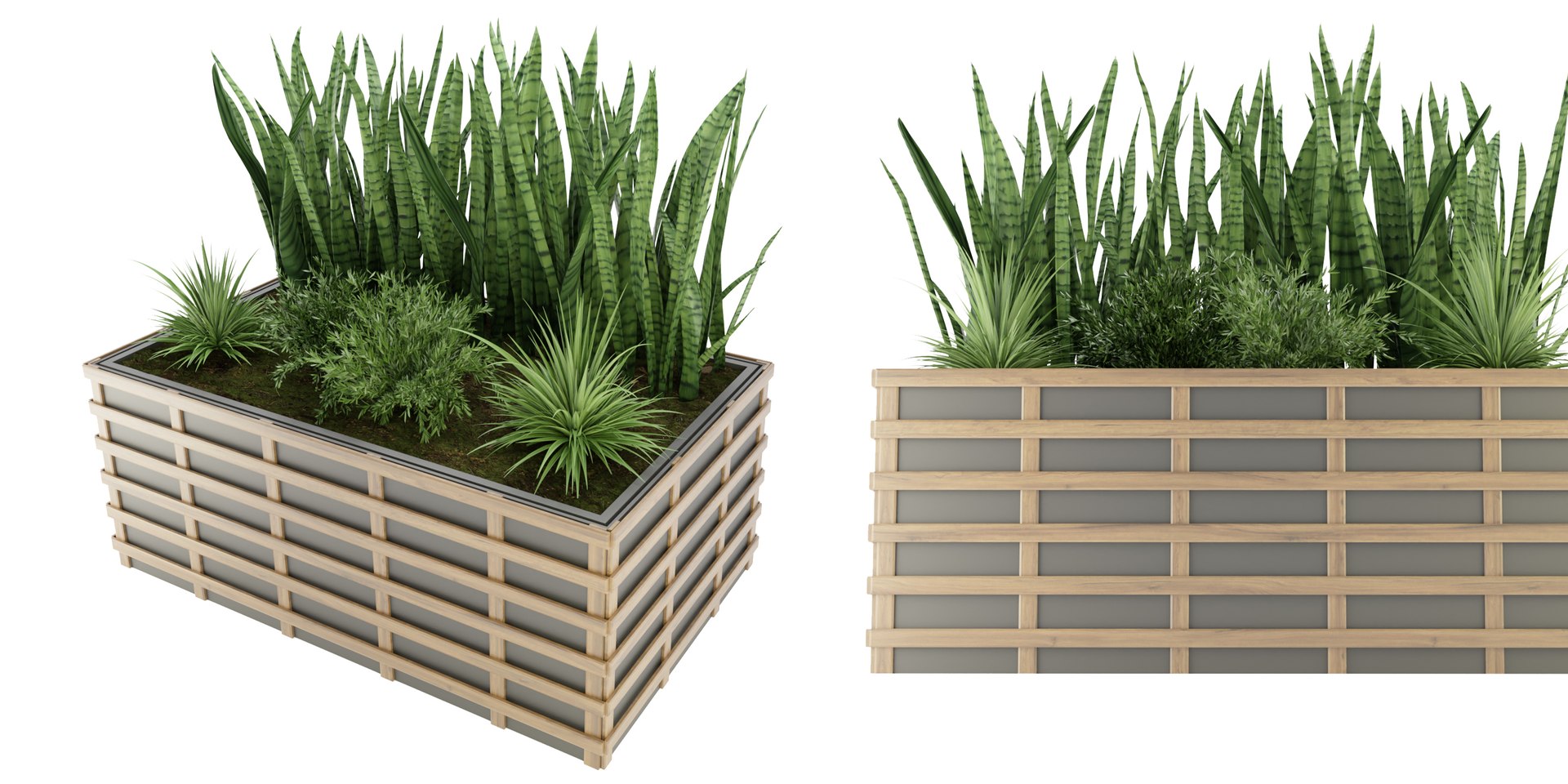 3D Collection Plant Vol 132 - Blender Model - TurboSquid 2085224