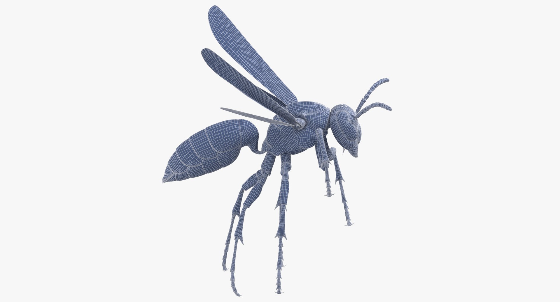Paper wasp rigged 3D model - TurboSquid 1367389