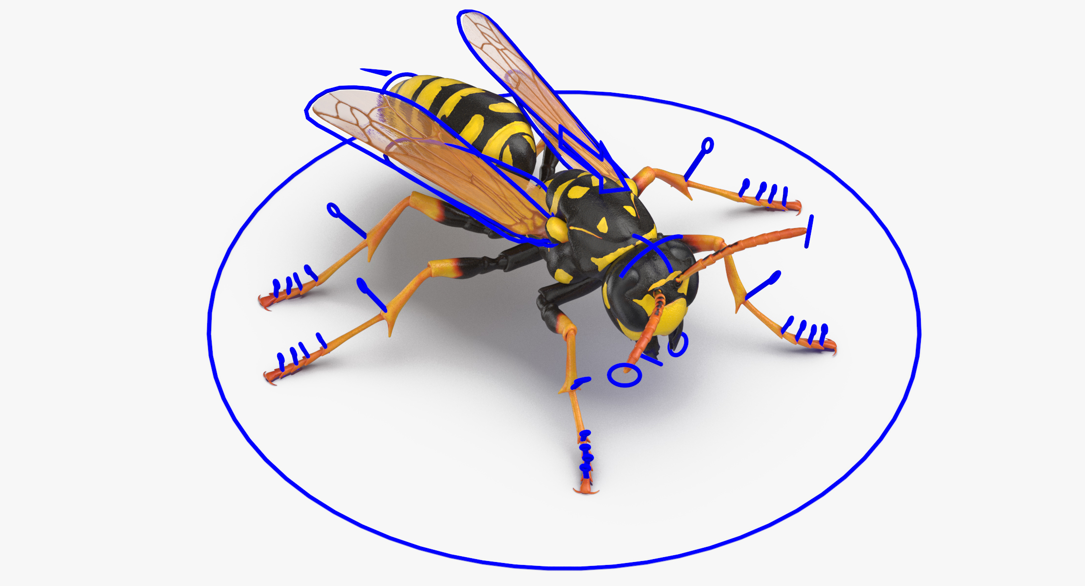 Paper wasp rigged 3D model - TurboSquid 1367389