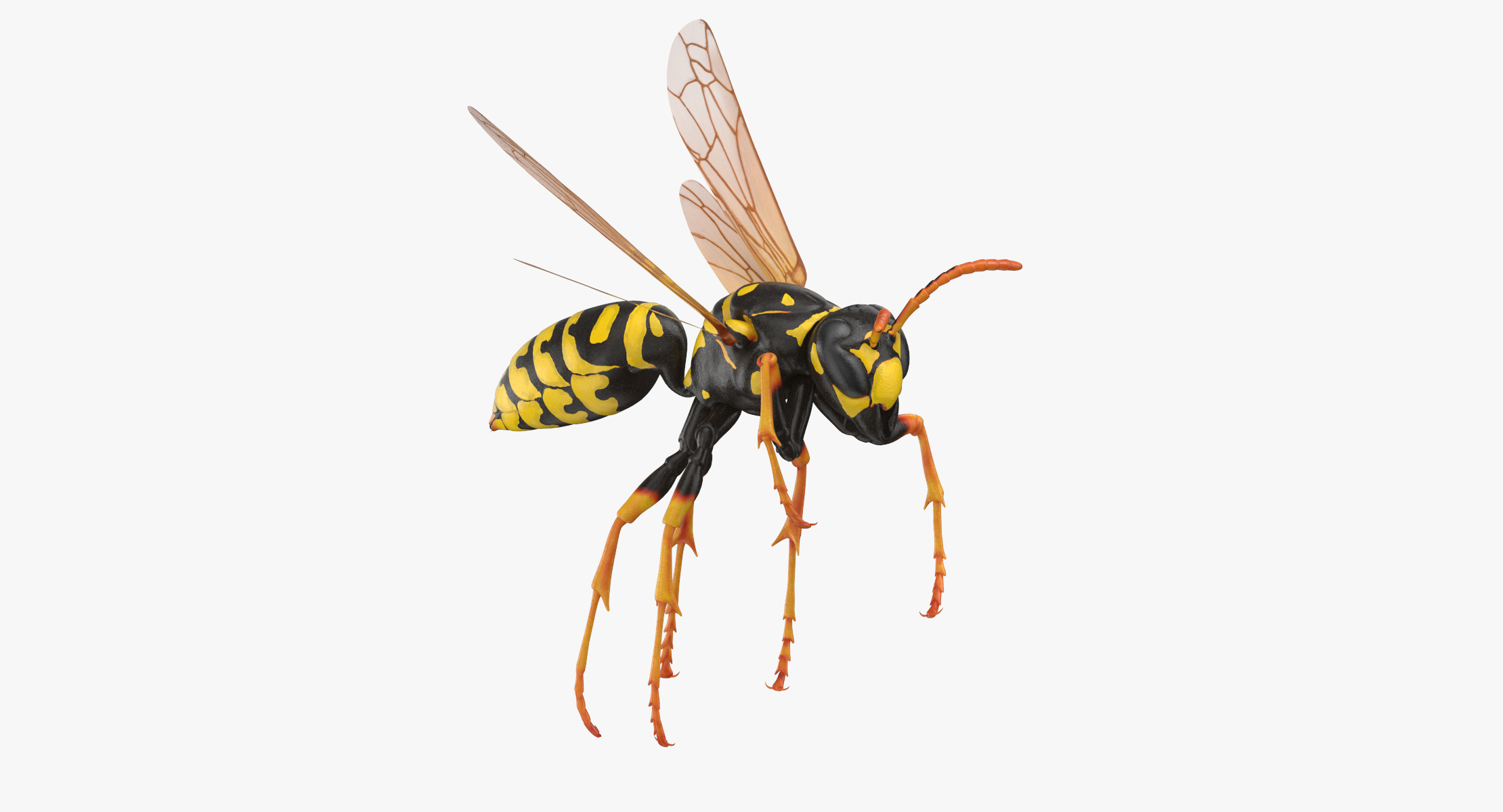 Paper wasp rigged 3D model - TurboSquid 1367389