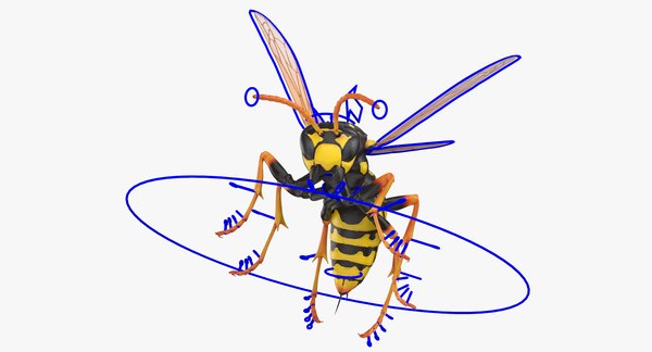 Paper wasp rigged 3D model - TurboSquid 1367389