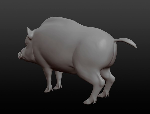 Wild boar base mesh 3D model - TurboSquid 1720646