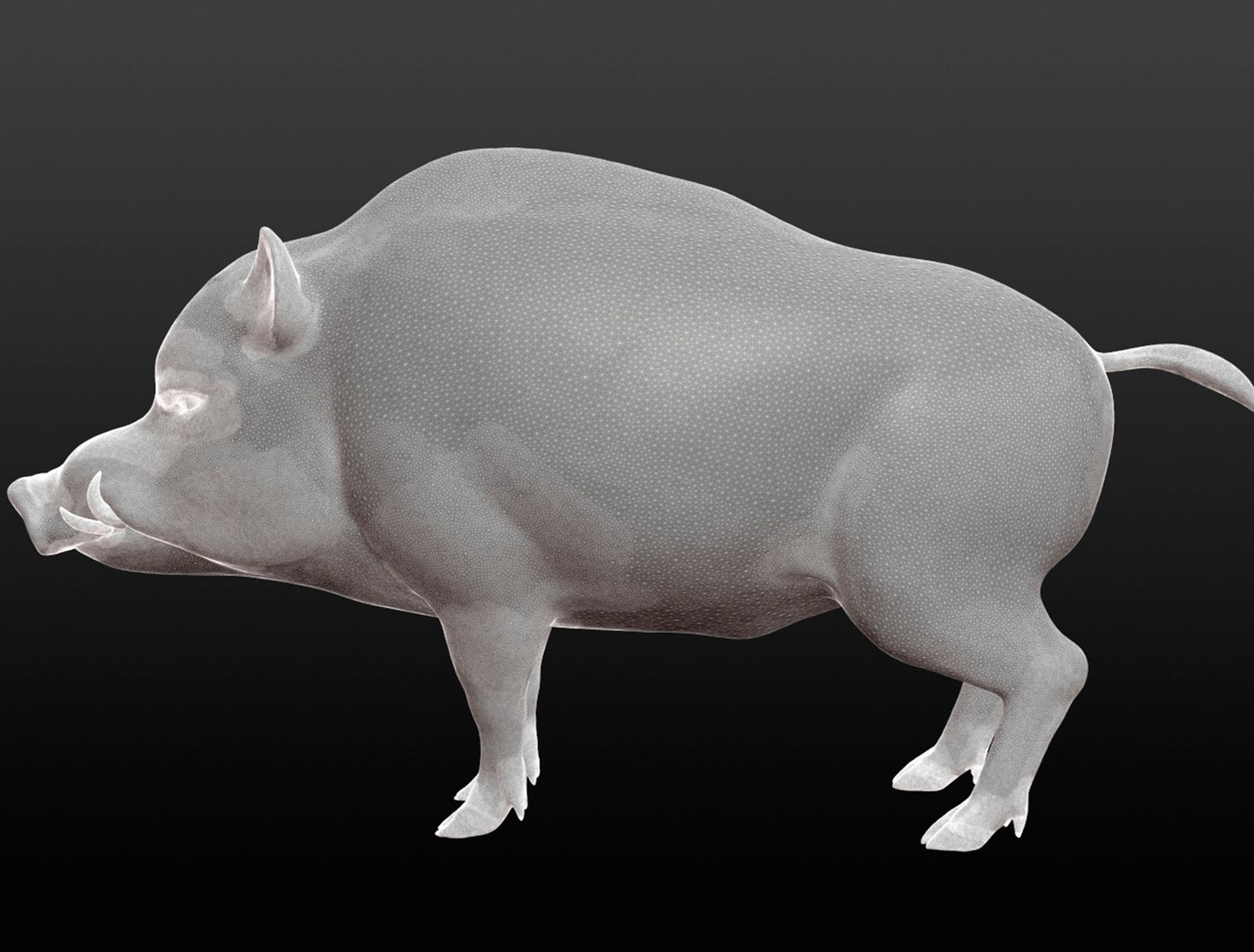 Wild boar base mesh 3D model - TurboSquid 1720646