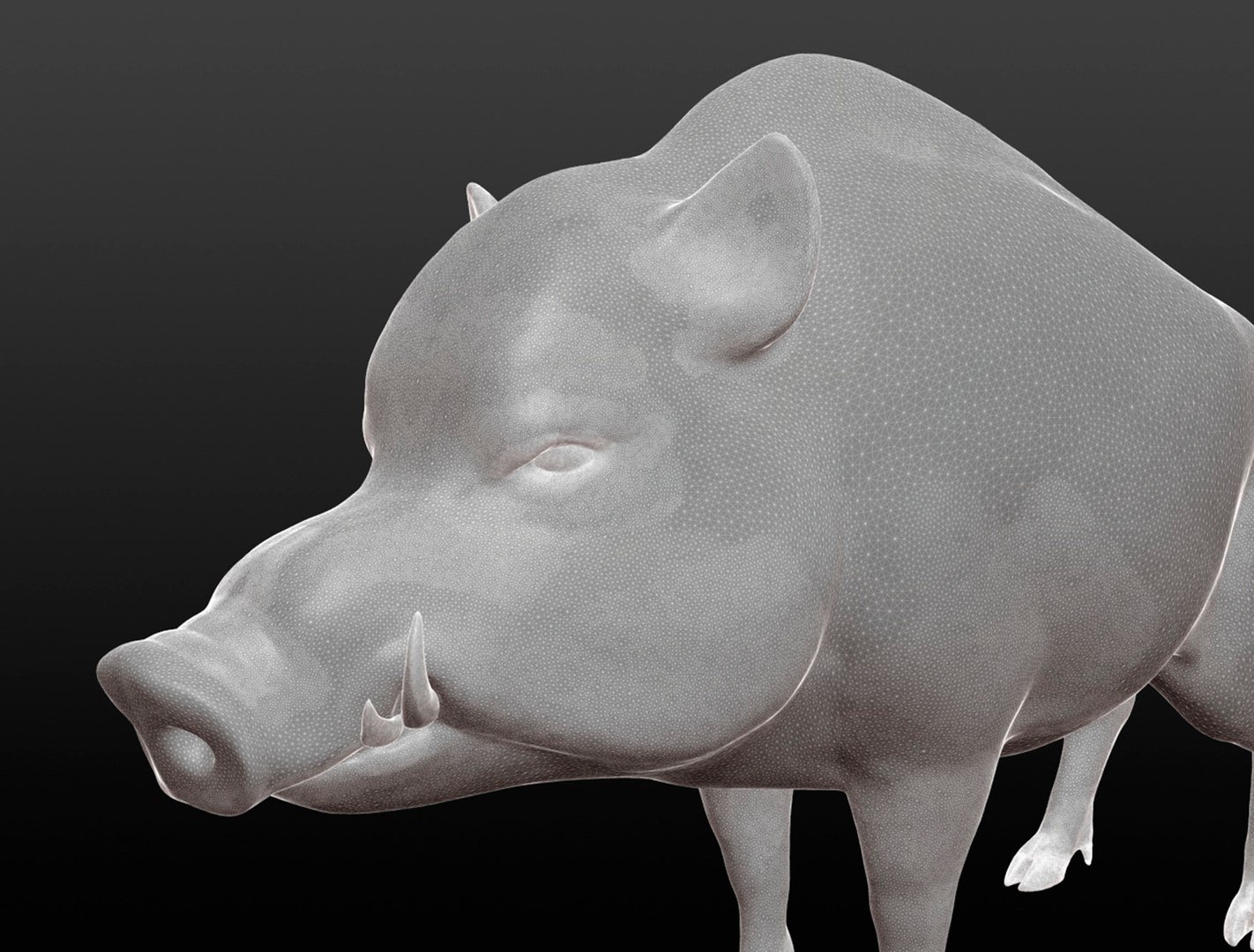 Wild boar base mesh 3D model - TurboSquid 1720646