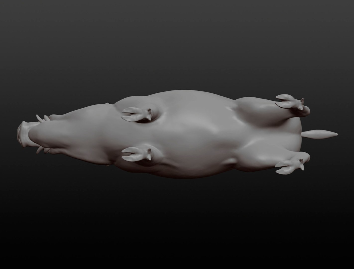 Wild Boar Base Mesh 3D Model - TurboSquid 1720646