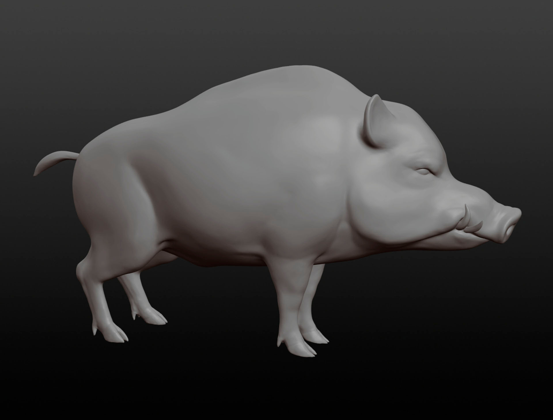Wild boar base mesh 3D model - TurboSquid 1720646