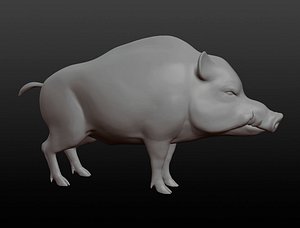 Boar 3D Models for Download | TurboSquid