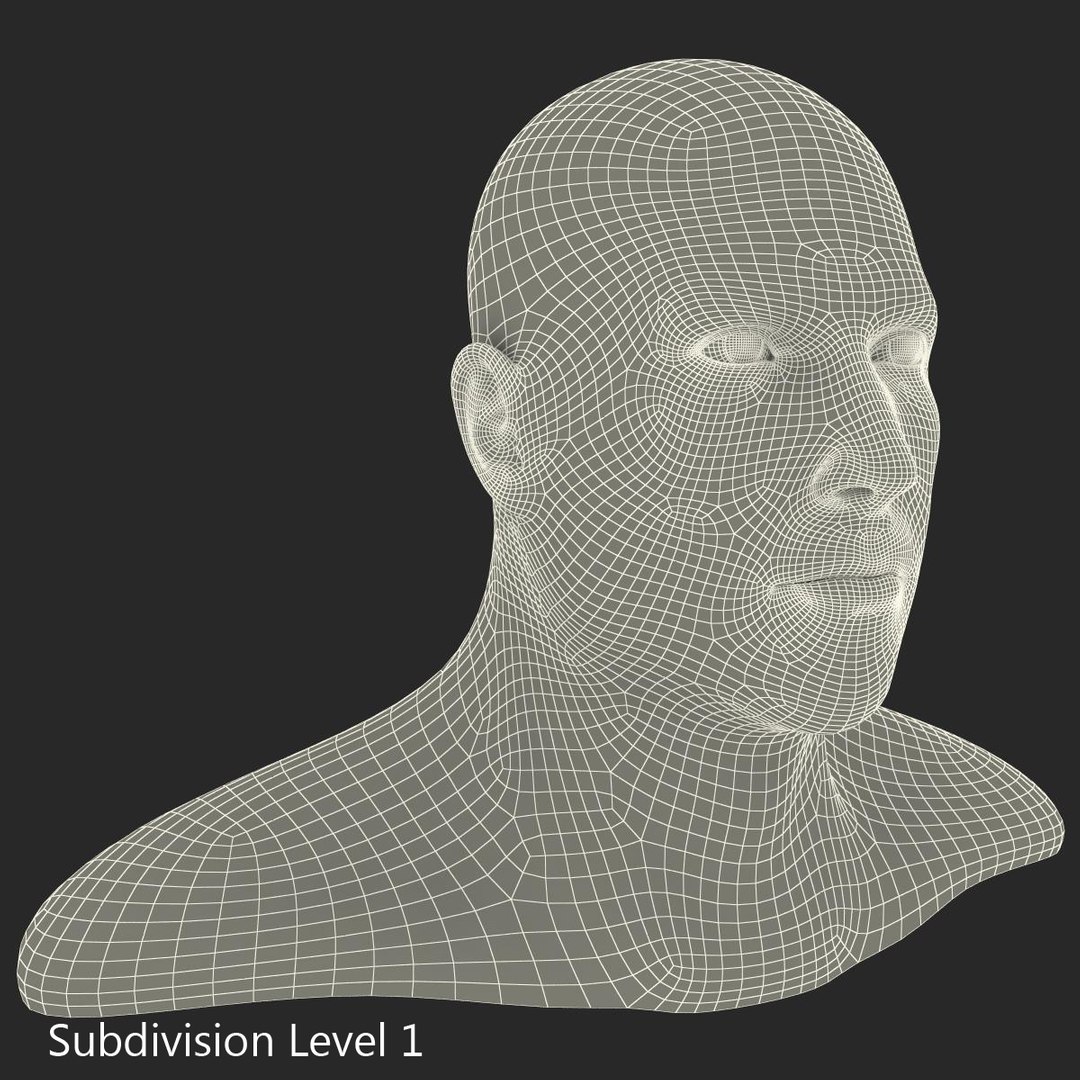 3d Model Male Head 6
