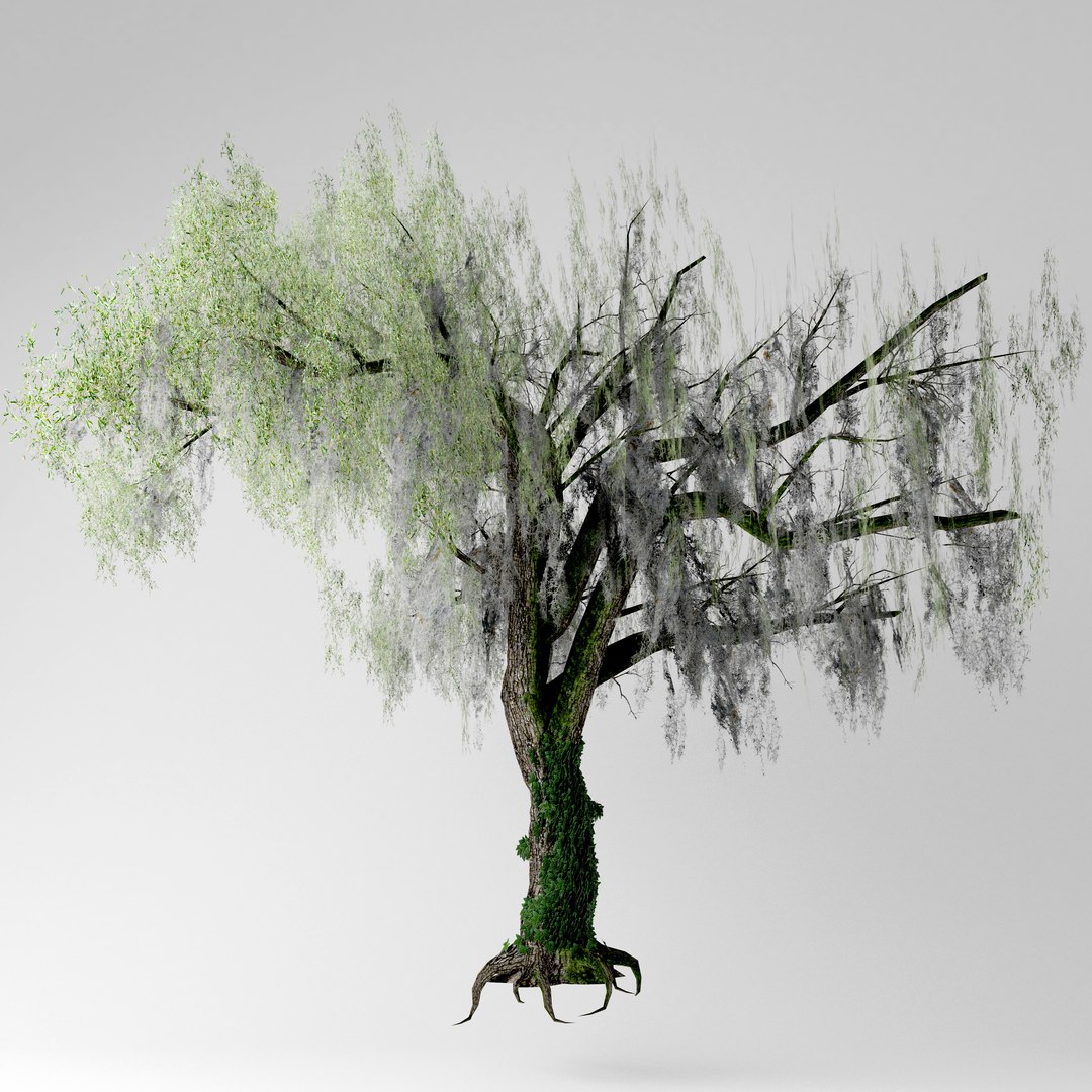 Live Oak Tree Model - TurboSquid 1622598