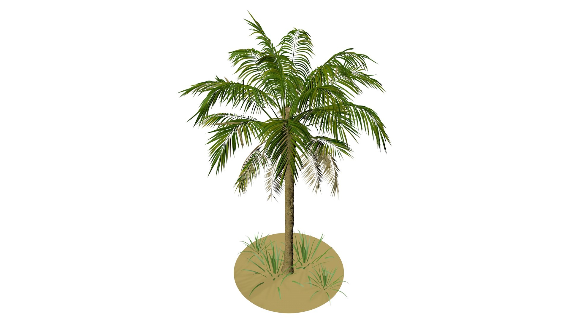 Palm tree model - TurboSquid 1691953