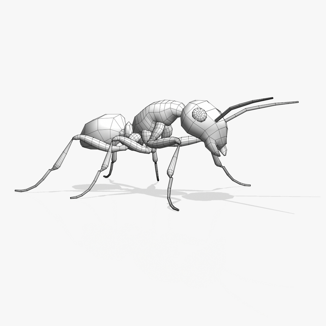 Maya Ant Animation