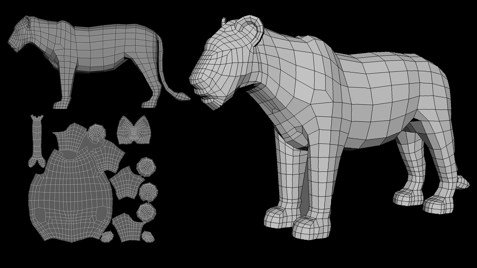 3D Lioness Low Poly Base Mesh - TurboSquid 2364977
