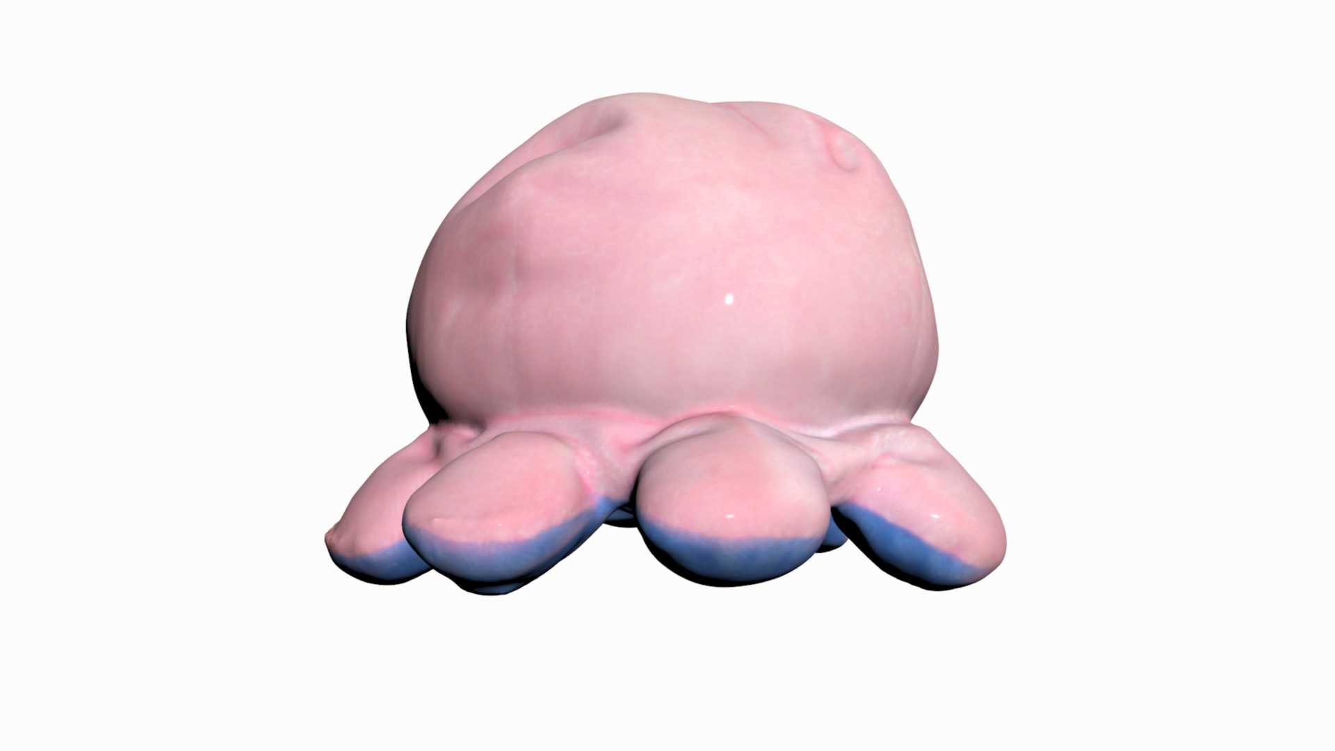 Octopus Toy Scan Artec 3D Model - TurboSquid 1743468