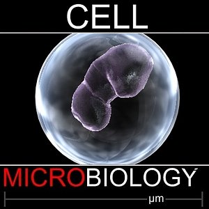 Cell 3D Models for Download | TurboSquid